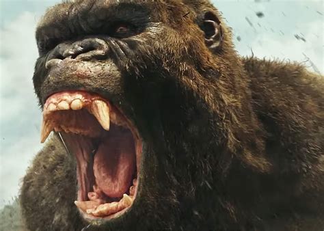 Kong ansehen mit deutschen Untertiteln in 21:9 - bestgfile