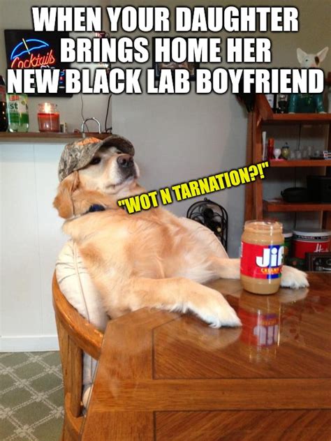 Dang O Dang Rfunnymemes