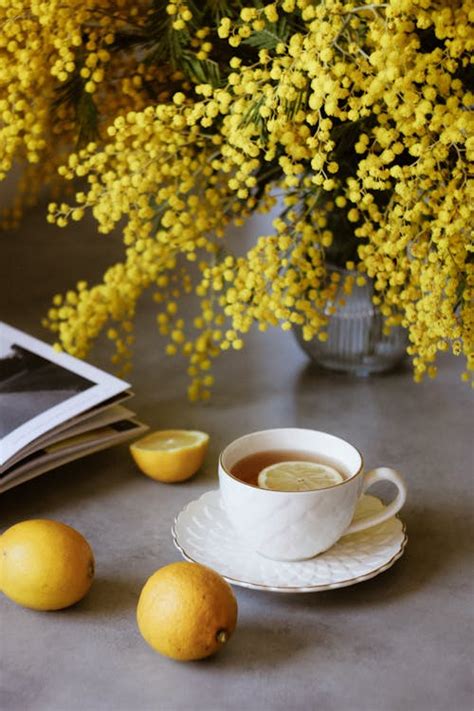 가정 환경 가정의 감귤류 고요한 꽃 장식 꽃꽂이 꽃무늬 노란 꽃 노란색 독서하는 레몬 레몬 반쪽 레몬