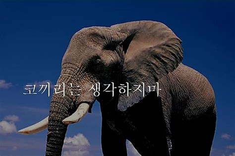 왕년에 1등을 해봤다고 자랑치고 다니는 판검사와 의사 중에 과거에 It향연 Itsymposion