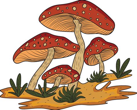 A Couple Of Mushroom Vector 30248207 Vector Art At Vecteezy