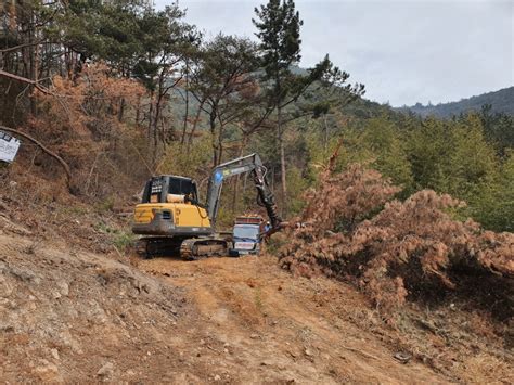 포항시 소나무재선충병 방제 본격 착수 포항일보