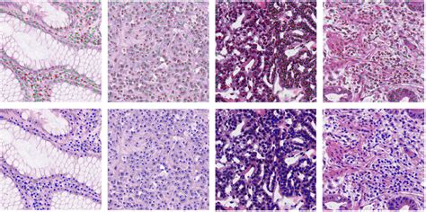 Examples Of Centroid Detection On The Validation Sets V And V Top Download Scientific
