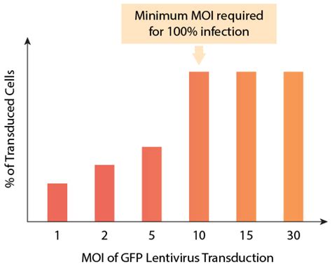What Is Multiplicity Of Infection Moi Abm Inc