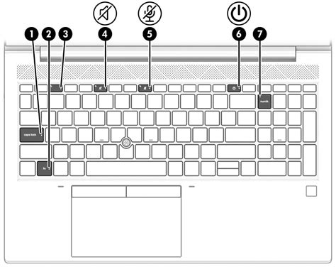 Hp Elitebook Won T Turn On Caps Lock Light Blinking