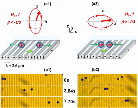 A1 A2 Schematic Illustrations Of A Pair Of Paramagnetic Particles Download Scientific Diagram