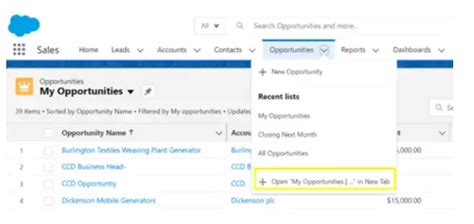 What Does The Navigation Bar In Salesforce Allow Users To Do Blog Saasguru