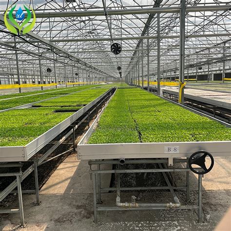 Myxl Hydroponic Tables Efficient Indoor Growing