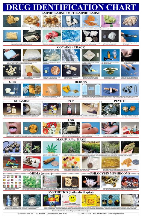 Drug Identification Wall Chart Amera Chem Incdrug Identification Bible