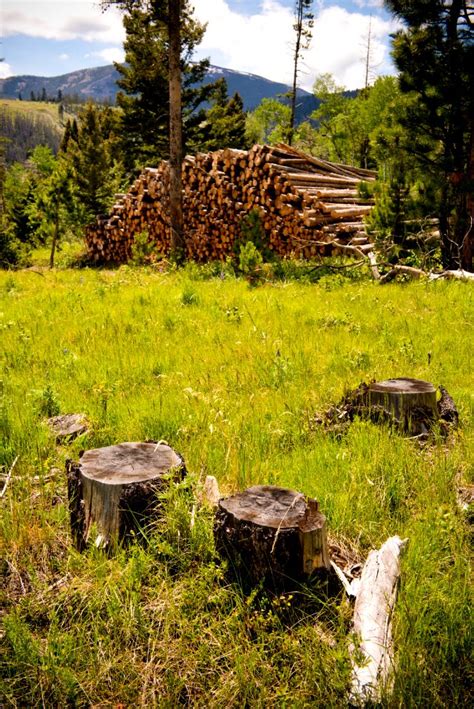 1028 Nrcs Projects Free Photos On