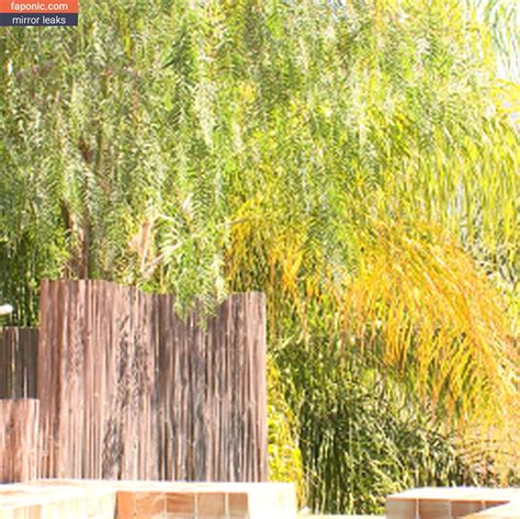 Jessie Rogers Daily Onlyfans