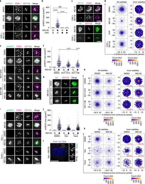 High Resolution Quantitative Analysis Confirms The Requirement For Download Scientific Diagram