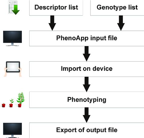 Principal Phenoapp Workflow A Combined Genotype Location And