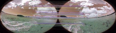 Matching Features Between Adjacent Images Download Scientific Diagram