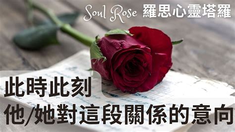 💞🌹 Soul Rose 塔羅占卜 今天此時此刻，他她對你的感覺，對這段關係的意向是🌹💞 不限時間 Youtube