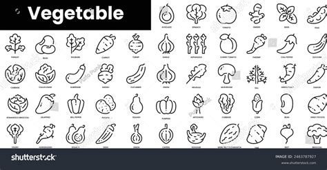 Set Outline Vegetable Icons Minimalist Thin Stock Vector Royalty Free