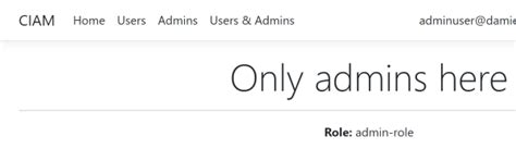 Aspnet Core Authorization Using Entra External Id Ciam And Azure Ad