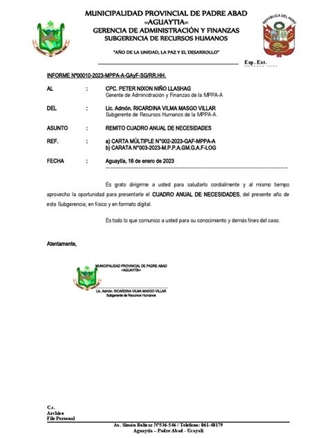 Informe N°00010 2023 Remito Cuadro De Necesidades Pdf