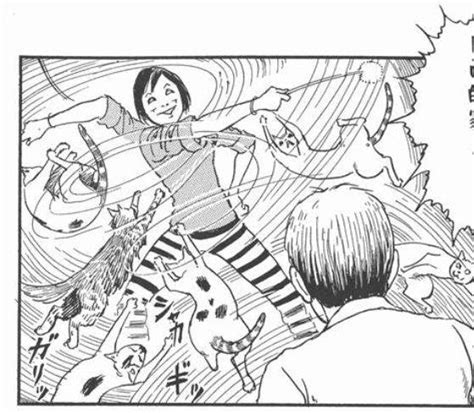 猫咪不爱玩逗猫棒，是因为我的技术差？还是逗猫棒不够炫？ 搜狐大视野 搜狐新闻