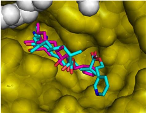 Borrelidin Bacteria Analogs Are Drug Candidates Against Malaria