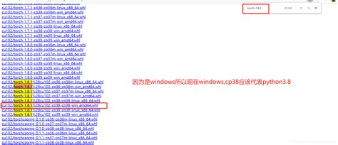 关于torch torchvison离线安装 torch1 13 1对应torchvision csdn博客