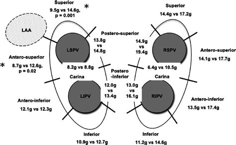 Regions Of Differential Mean CF Between Groups In Segmented PV Model Download Scientific