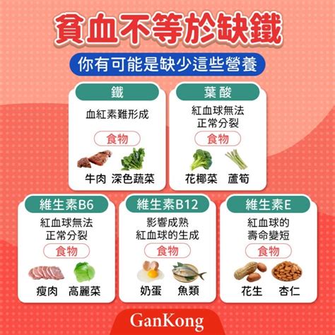 血紅素鐵不足吃什麼？推薦女生必吃10種補鐵食物與保健食品 Gk健康網