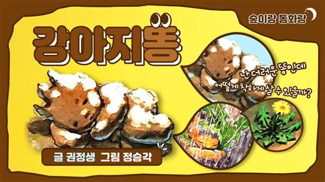숲이랑동화랑 강아지똥 L 동화책읽어주기 L 창작동화 L 동화구연 Youtube