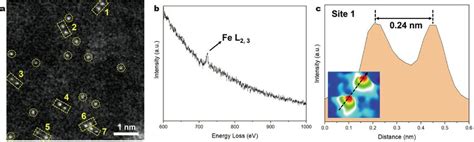 A Ac Haadf Stem Image Of Fefe Dac Sas And Dual Atom Pairs Are Marked