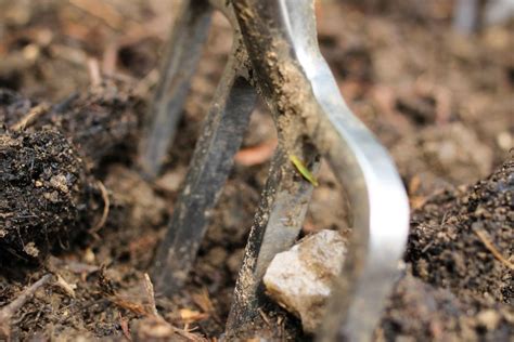 The Ultimate Guide On How To Remove Rocks From Yard Mowing Expert