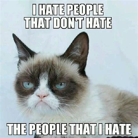 Grumpy Cat Hates That You Dont Hate Who She Hates Which Is Everyone
