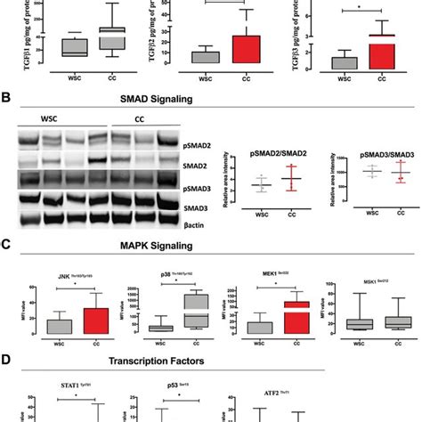Interaction Between Mitogen‐activated Protein Kinase Mapk And