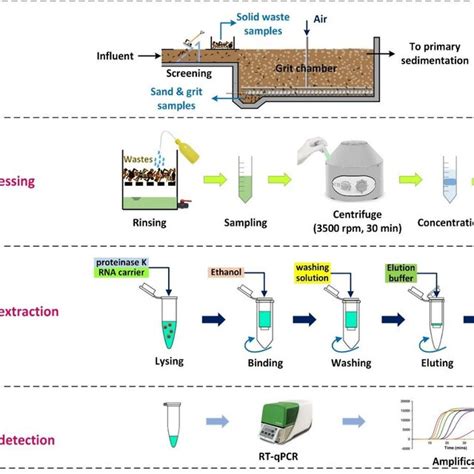 Stepwise Steps For Extracting And Detecting Sars Cov 2 Rna In Download Scientific Diagram