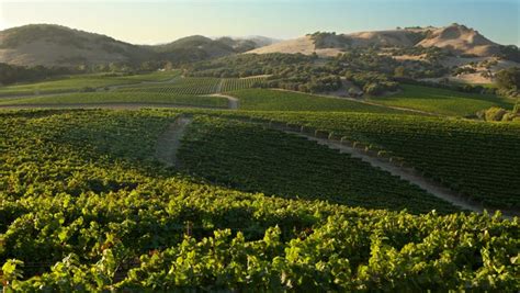 California Wine Country How To Visit Napa And Sonoma In One Day