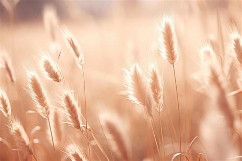 Peach Fuzz Das Ist Laut Pantone Die Trendfarbe 2024 Brigittede