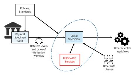 Digitally Transforming Collections Science With Digital Specimens And Download Scientific