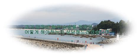 협의이혼한지 오래된 전남편에게 양육비를 받아본적이 없을때 과거 양육비 청구 소장 접수 송달 합의조정 재판진행 심판판결문 압류추심하는 방법 무료 상담