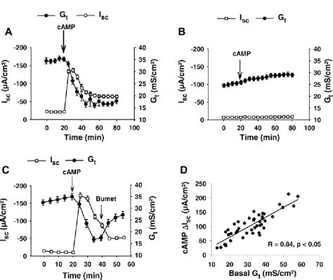 Figure 1 From Lateral Intercellular Space Volume As A Determinant Of Cftr Mediated Anion