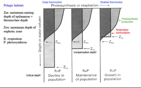 Lecture 4 Flashcards Quizlet Lecture 4 Flashcards Quizlet