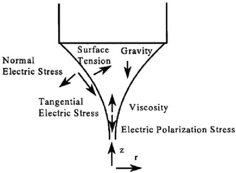 Schematic Representation Of Forces In The Liquid Cone Adapted From 85 Download Scientific