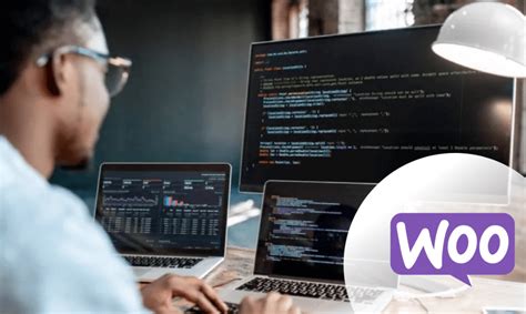 Professional WooCommerce Development Agency Twelve