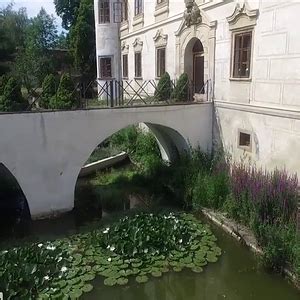 Ariel Vanean Page Lpsg