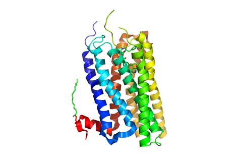 Serotonin Receptor Modulators Powered By In Part