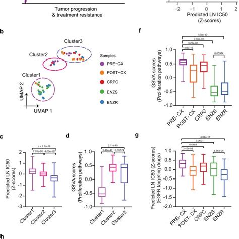 Analysis Of Drug Response Prediction In Lncap Derived Xenografts A