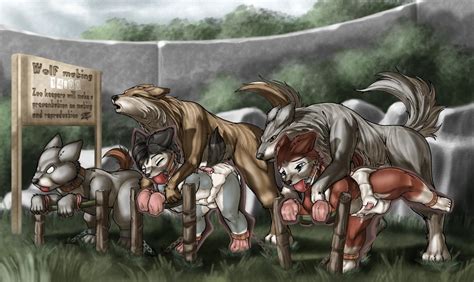 Wolf Mating Members DD Boards Chat Wolf Mating Members DD Boards Chat