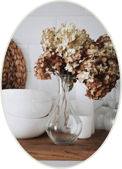 Juniper Minnetrista Luxury Apartments In Minnetrista Mn