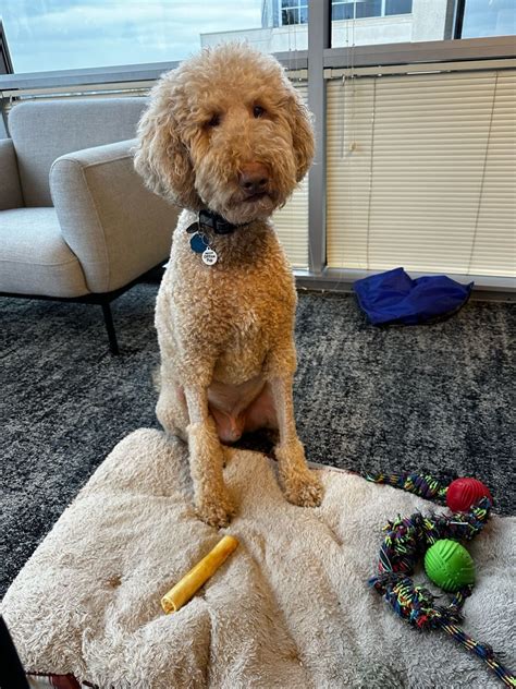 Deepali Mathur On Linkedin Lifeatchewy