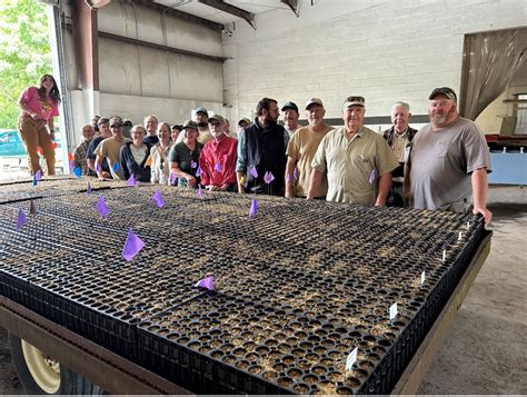 A Major Milestone For Longleaf Pine Ecosystem Restoration Virginia Master Naturalists