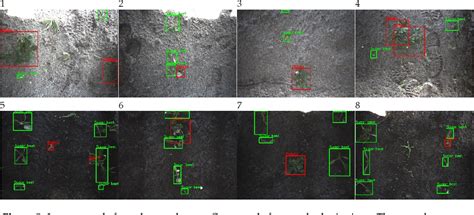 Figure 5 From Application Specific Evaluation Of A Weed Detection