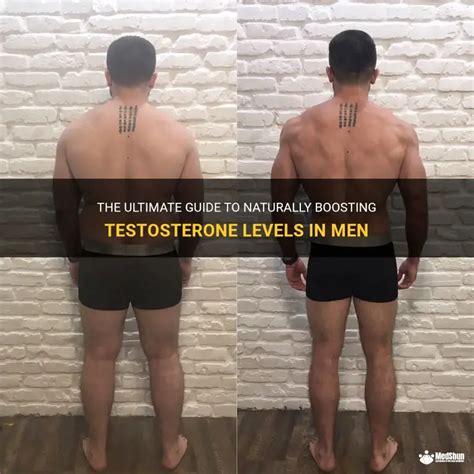 The Ultimate Guide To Naturally Boosting Testosterone Levels In Men MedShun